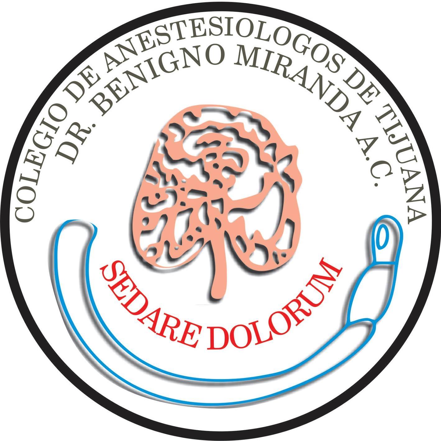 Videolarigoscopio OnFocus